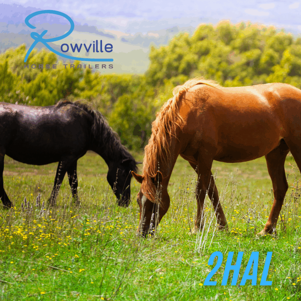 Rowville 2HAL Floats - The Float Centre