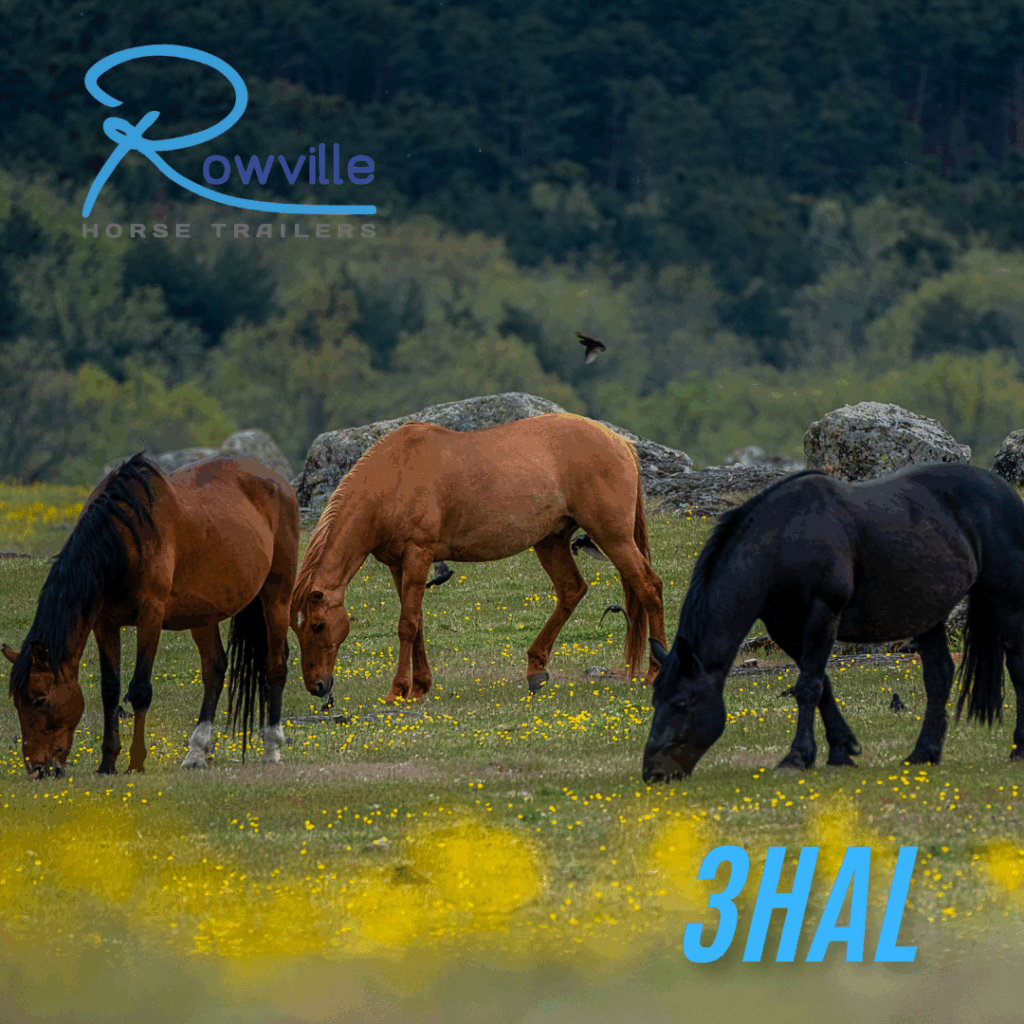 Rowville 3HAL Floats - The Float Centre